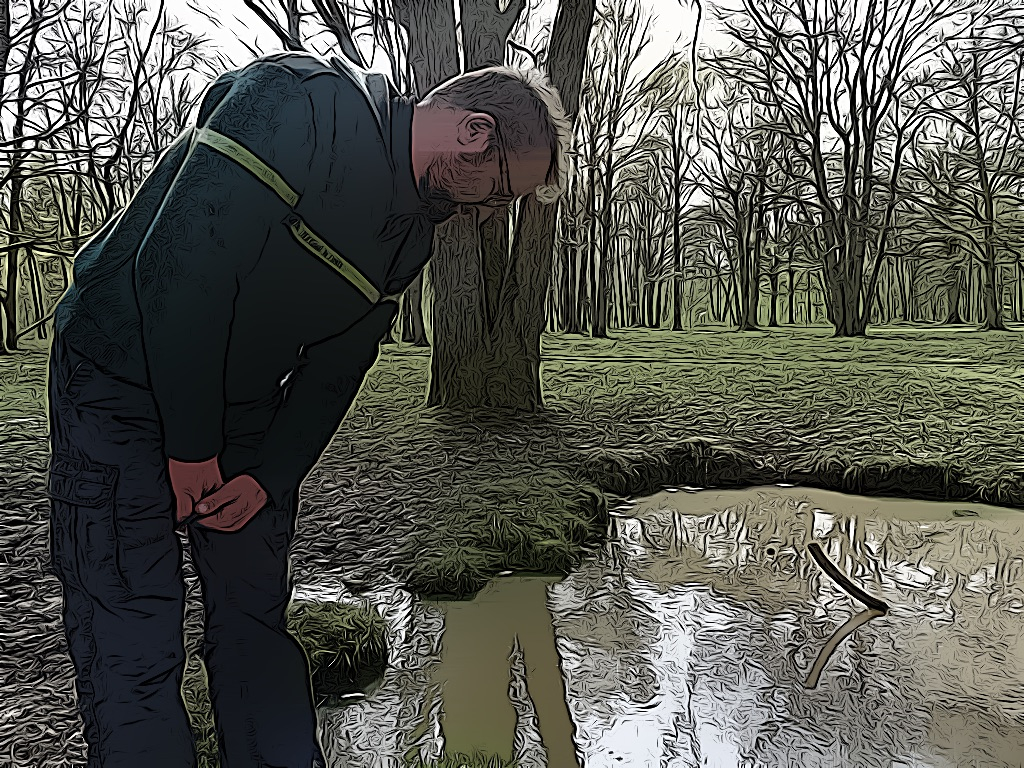 Avec Alain et Sabrina, "entrez dans une forêt et observez" – Le Zéphyr